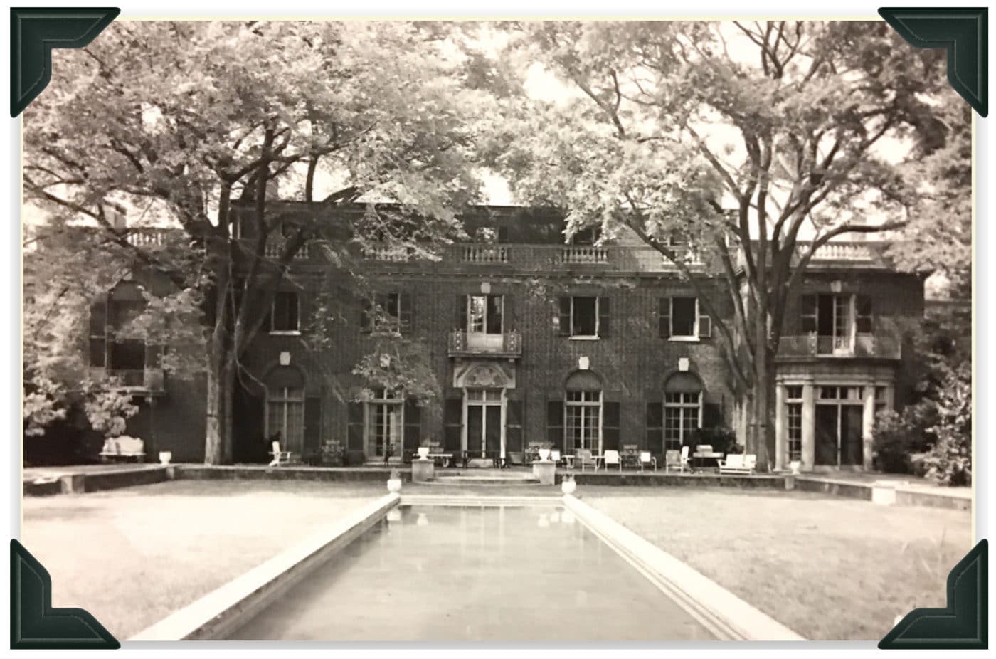 Big Tree Farm | AHRC Nassau